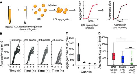 Measurement Of The Susceptibility Of Low Density Lipoprotein Ldl From Download Scientific