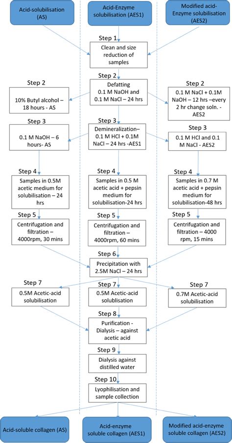 Flow Chart Of The Three Extraction Methods Details Created On