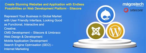Content Management System Cms Sitecore And Umbraco Development