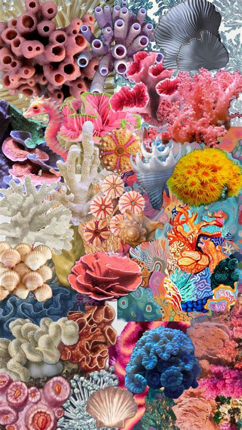 Dti Theme Coral Reef