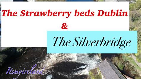 The Strawberry Beds Dublin And The Silver Bridge Youtube