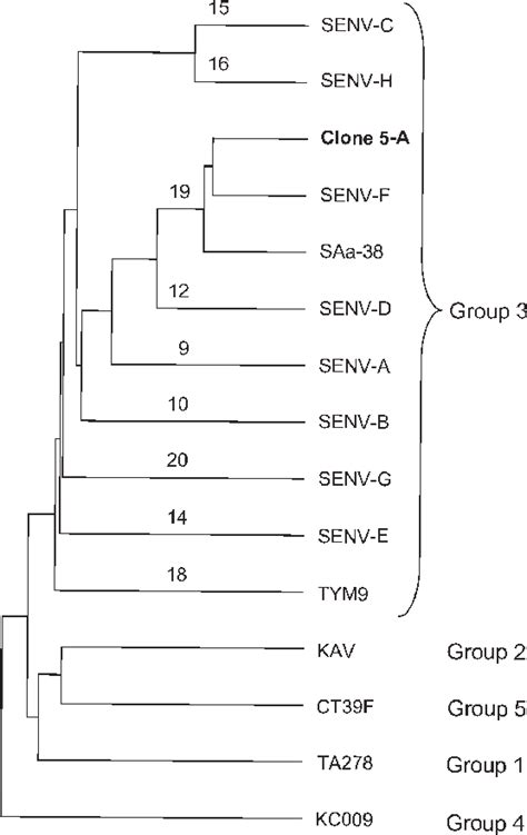 Phylogenetic Tree Inferred By Using The Upgma Method From Isolate 5 A