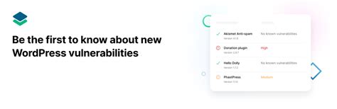 the 16 most common web application vulnerabilities explained wpscan