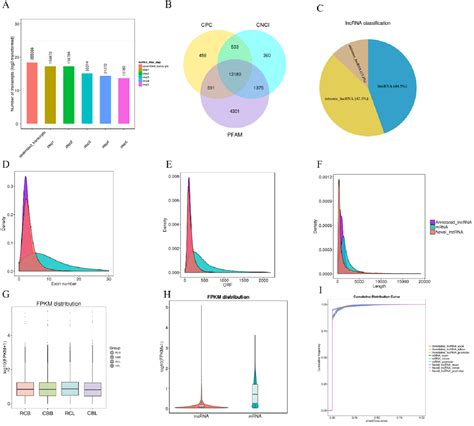 Figure 2 From Screening And Functional Validation Of Lipid Metabolism Related Lncrna 46546 Based