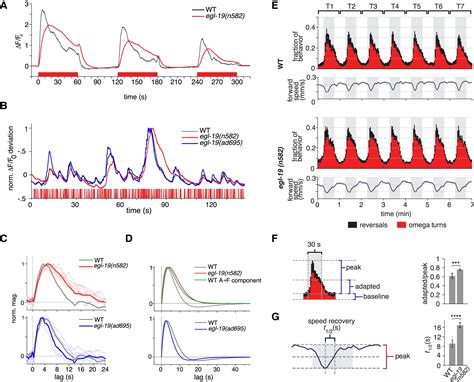 Temporal Responses Of C Elegans Chemosensory Neurons Are Preserved In Behavioral Dynamics Neuron