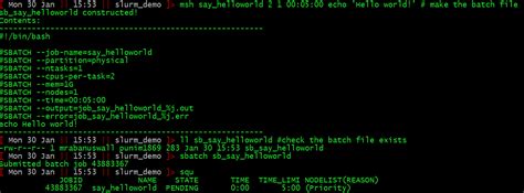 Running Jobs On The Server Slurm And Shell Scripts