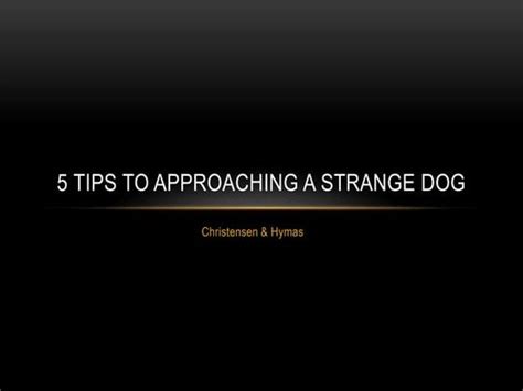 Blockbuster Project Example Ppt