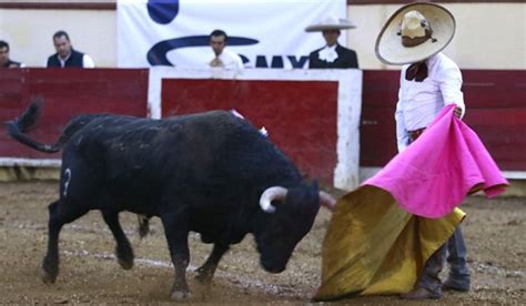 Tercer DÍa 2 º Torotón Don Bull MÉxico