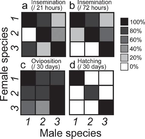 Figure 1 From Identification And Reproductive Isolation Of Euborellia