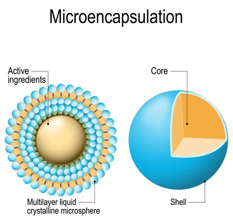 Preparation Methods Of Microspheres