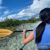 Mangrove Clear Kayak Tour Providenciales Turks And Caicos