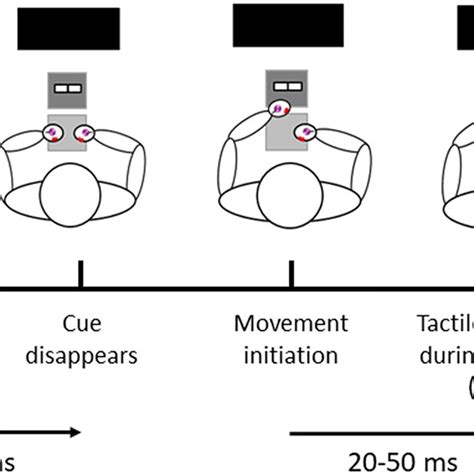 Overview Of An Experimental Trial Download Scientific Diagram
