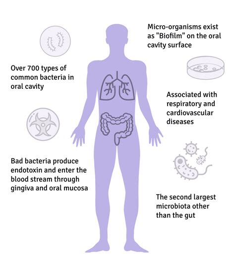 QPCR Oral Microbiome BioMed