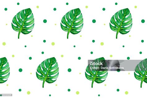 흰색에 녹색 잎과 매끄러운 패턴 몬스터 일러스트레이션 손으로 그린 수채화 그림 이국적인 식물과 식물 인쇄 옷 웹 인사말 카드 기프트 랩을 위한 크리에이티브 프린트 0명에