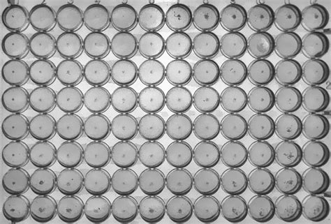 Top Contamination Datasets And Models Roboflow Universe