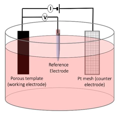 A Schematic Showing The Synthesis Of Magnetic Nanowires Using A Download Scientific Diagram