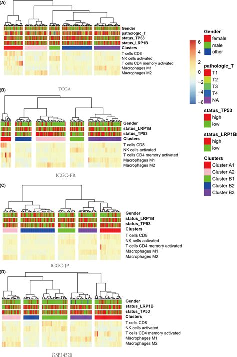 Based On Immune Cell Proportion Data Unsupervised Cluster Analysis Of Download Scientific