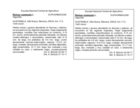 Solution Ficha T Cnica Studypool