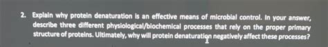 Solved 2 Explain Why Protein Denaturation Is An Effective