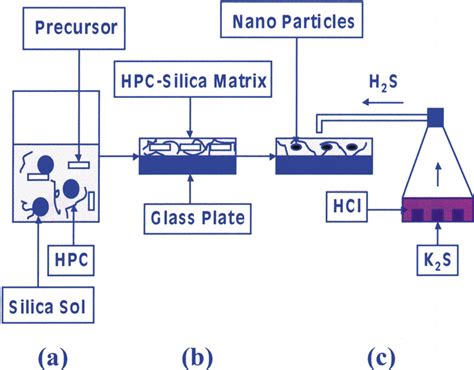 Schematic Diagram Illustrating The Procedure For The Preparation Of Download Scientific Diagram