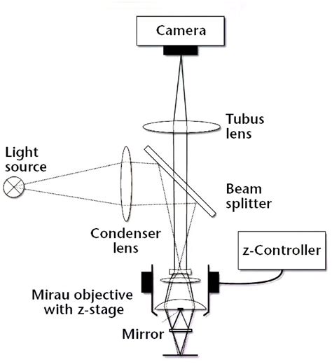 8 Schematic Layout Of An Interference Microscope With Mirau Objective Download Scientific