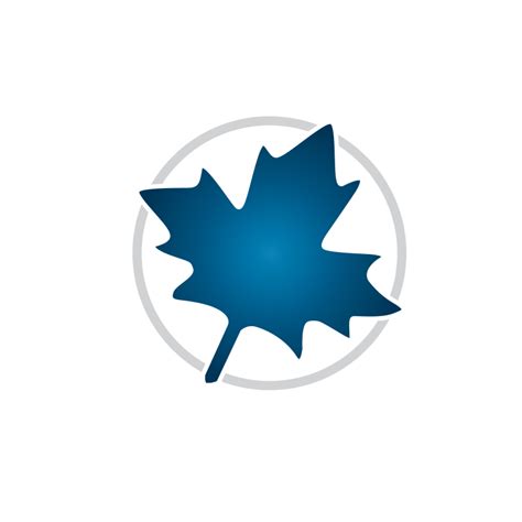 Maplesoft Maple Programming Tool Henryjones Medium