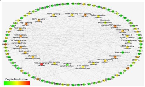 Target Pathway Network Network Of 26 Signaling Pathways Rectangle