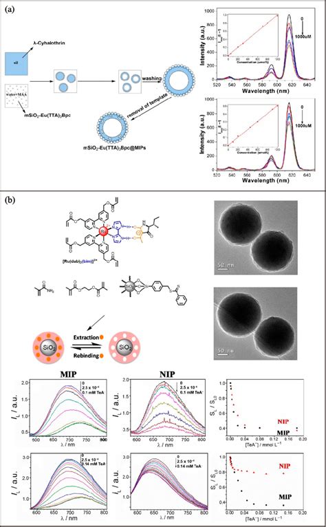 A Preparation Of The Silica Mip Modified With Euiii Complexes And Download Scientific