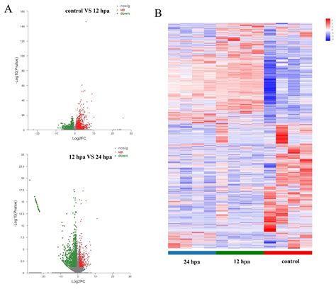 Transcriptome Analysis Of Litopenaeus Vannamei During The Early Stage Of Limb Regeneration
