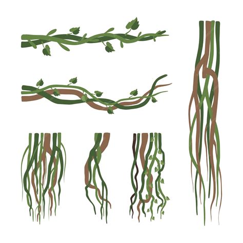 一組藤本植物，藤蔓纏繞的樹枝，叢林熱帶攀緣植物卡通向量圖 Premium矢量