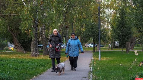 Фото Прогулки в Осеннем Парке Фотолюбитель Юрий Поляков Город Фотосайт Расфокус ру