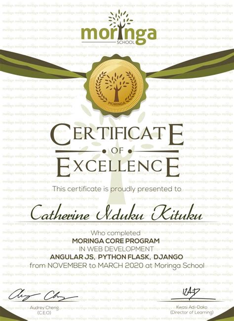 Catherine Kituku On Linkedin Python Developer Programminglife