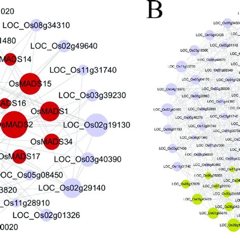 Pdf Netminer An Ensemble Pipeline For Building Genome Wide And High
