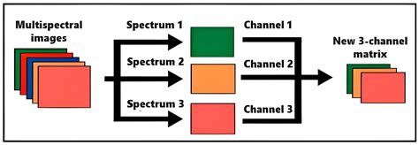Assessment Of Dataset Scalability For Classification Of Black Sigatoka