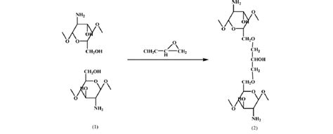 Schematic Representation For The Crosslinking Reaction Of Chitosan With