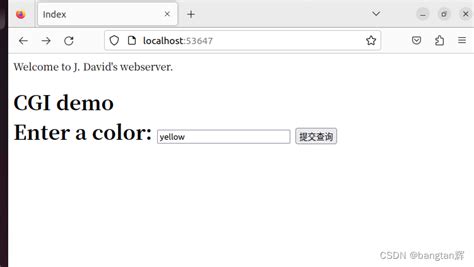 TinyHttpd 运行过程出现的问题