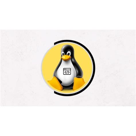 🔥course🔥 Udemy Linux Shell Scripting Beginner Course 2023 Shopee
