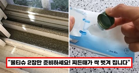 물티슈 2장이면 싹 지워집니다 살림9단이 알려주는 세상 더러운 창틀 창문실리콘 때 제거하는 방법 뉴스를 싣고