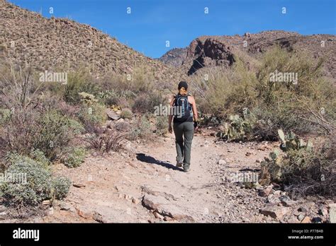 Woman Hiking The Pima Canyon Trail In The Santa Catalina Mountains Near
