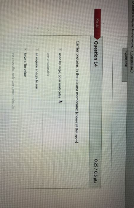 Solved U Partial Question Pts Carrier Proteins Chegg