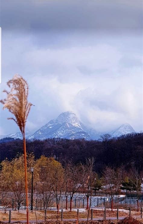 설산을 보며 베란다 결로 곰팡이 방지 단열 솔루션을 생각하다서울 양천구 목동 아파트 베란다 곰팡이 제거 경기도 분당 서현동 아파트 베란다 곰팡이 제거 후 결로방지저감