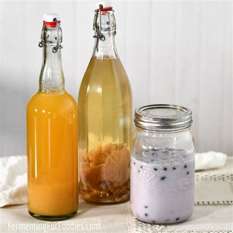 Fermentation Process Of Kefir At Eric Sain Blog