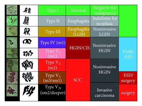 Inoues Classification Of Intraepithelial Papillary Capillary Loops For Download Scientific