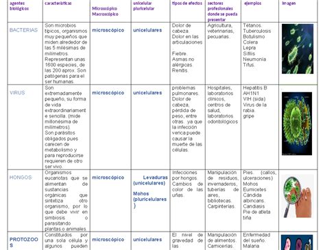 Agentes biológicos cuadro comparativo agentes biológicos