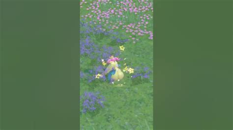 Shiny Hunting Lilligant On Pokemon Scarlet Violet Shiny Shinyhunting Youtube