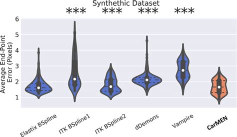 image shows synthetic dataset cardiac motion estimation network