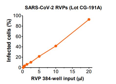sars cov 2 indian variant b 1 617 reporter virus particles virology