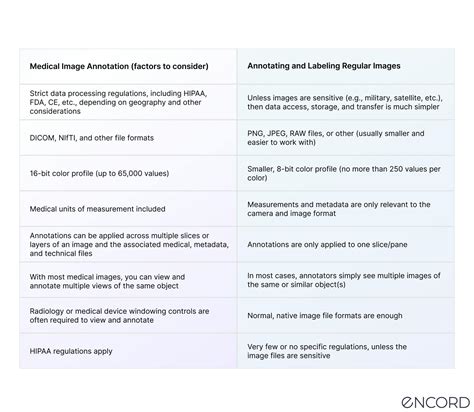 Complete Guide To Medical Image Annotations Encord