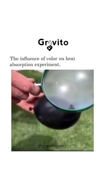 sameer raza on linkedin repost wisdom lifelessons