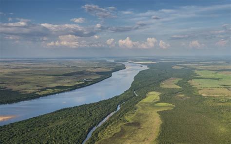 Predicting Deforestation Before It Happens News Eco Business Asia